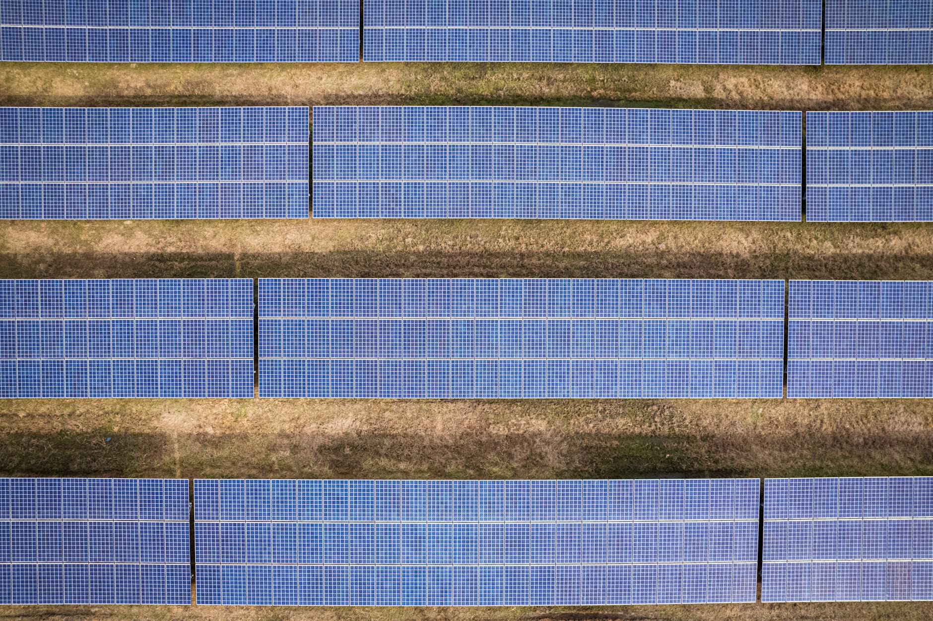 Solar Panel Types: Which One Is Right for You? - Bearworx